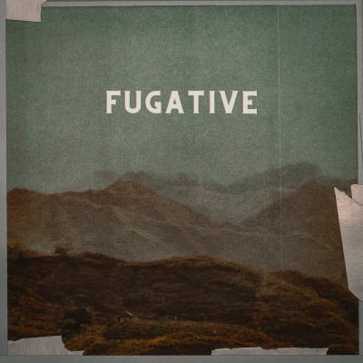 Fugative, an album by Shawn Williams | Musicbed