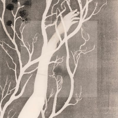 In Our Blood, an album by Will Hearn | Musicbed