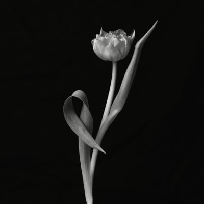 Again, an album by Hannah Parrott | Musicbed