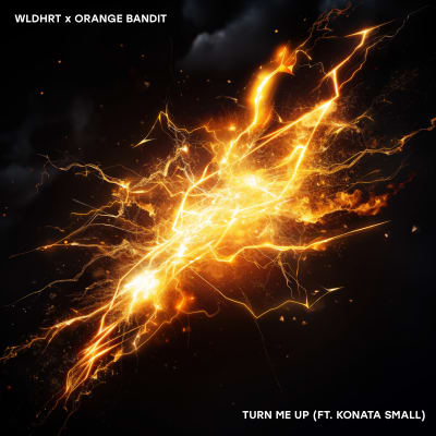 TURN ME UP (with Orange Bandit & Konata Small), an album by WLDHRT ...