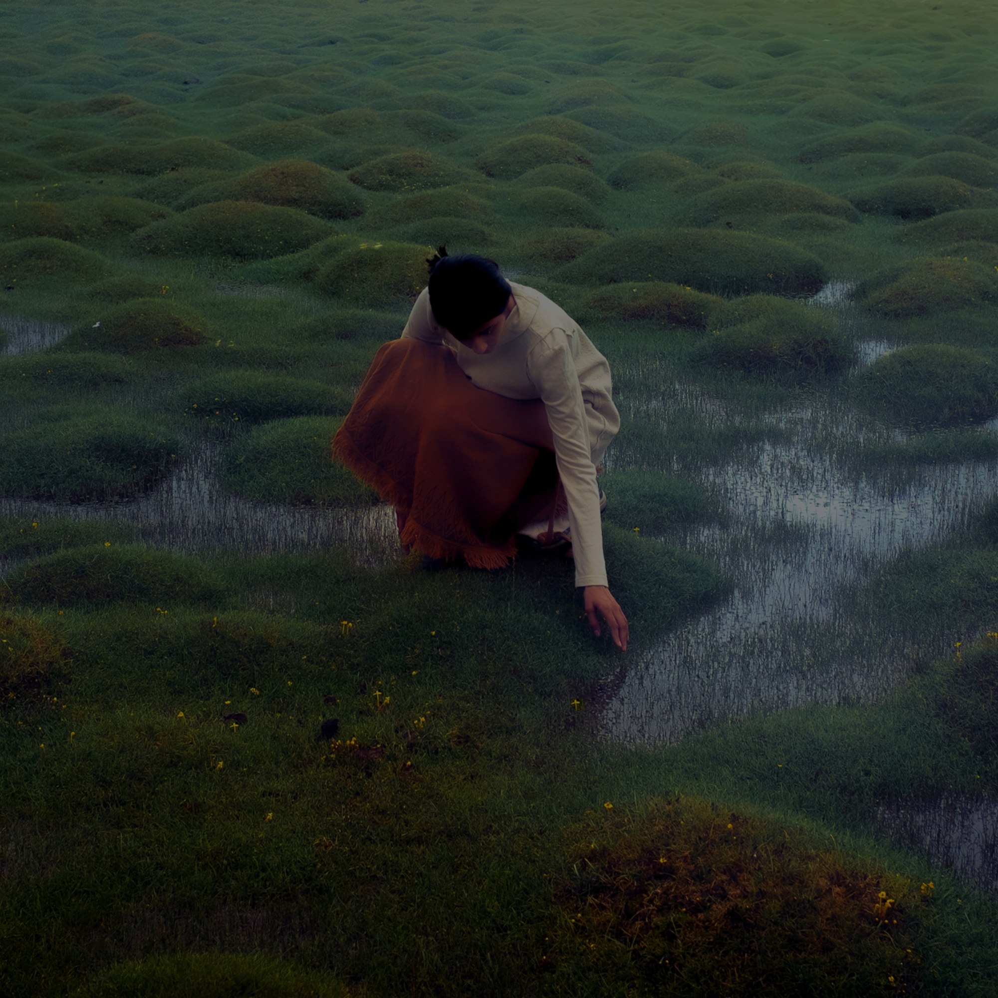 Enchanted | Music Licensing | Musicbed