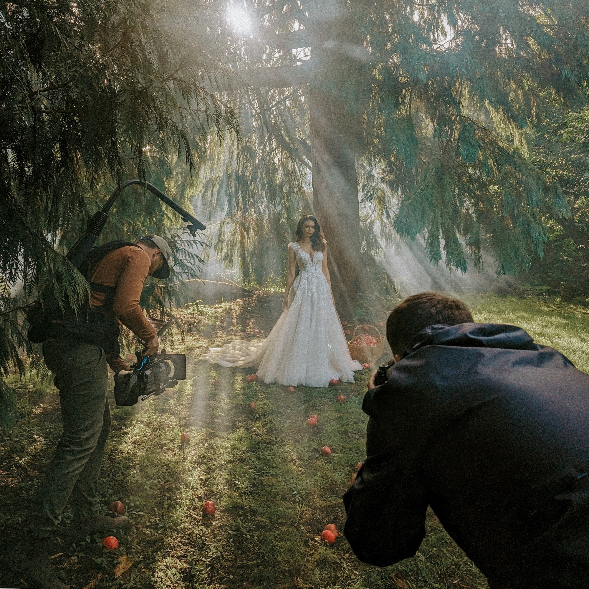 31Films | Music Licensing | Musicbed