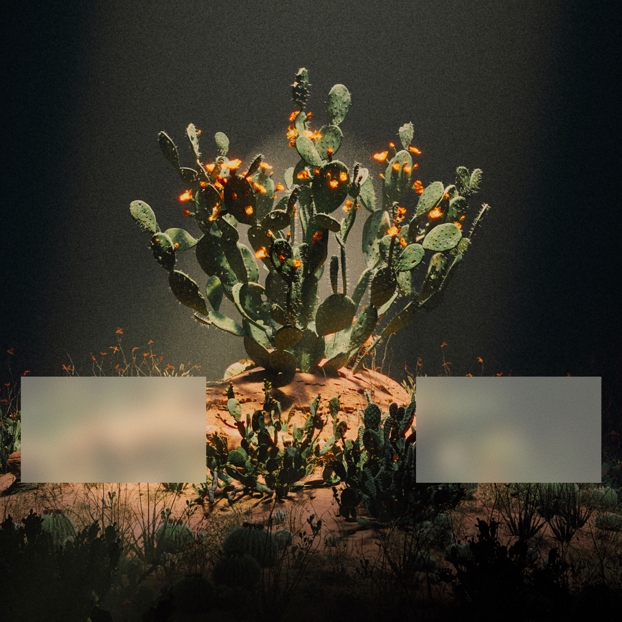 Let's Get Weird | Music Licensing | Musicbed