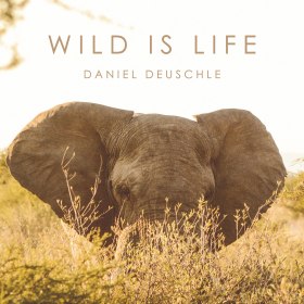 Daniel Deuschle | Music Licensing | Musicbed