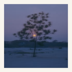 Vesky | Music Licensing | Musicbed