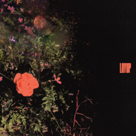 Layup | Music Licensing | Musicbed