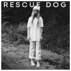 Rescue Dog | Music Licensing | Musicbed