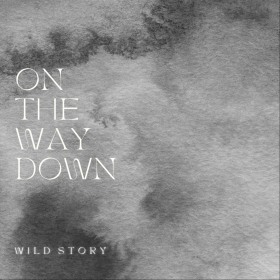 Wild Story | Music Licensing | Musicbed
