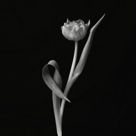 Hannah Parrott | Music Licensing | Musicbed