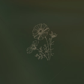 Lockton | Music Licensing | Musicbed