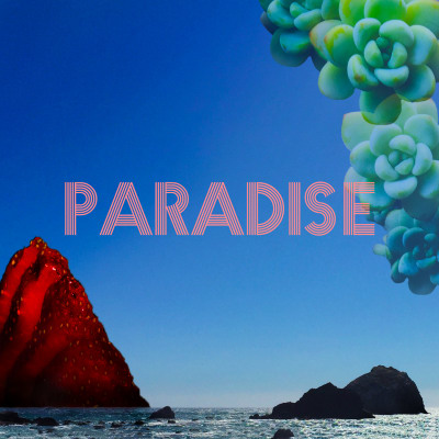 Paradise by Analog Heart | Song License