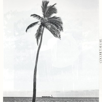 Flying by Will Hearn | Song License