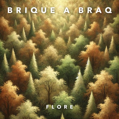 Flore by Brique a Braq | Song License