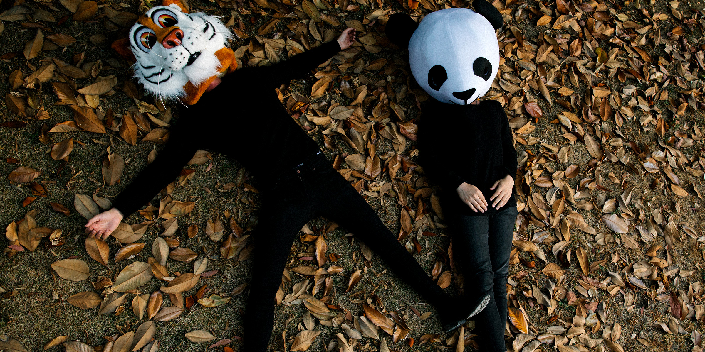 Animal Island | Music Licensing | Musicbed